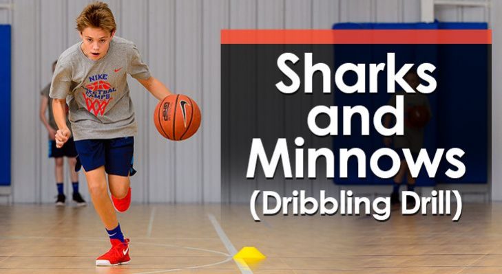 Sharks and Minnows Game (Basketball Dribbling Drill)